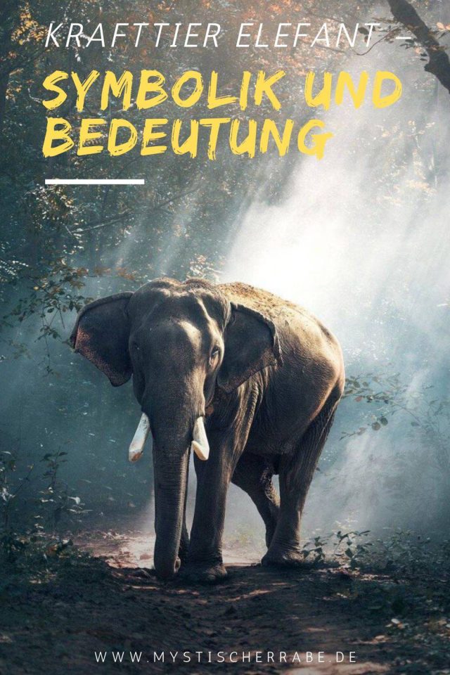 Krafttier Elefant Bedeutung