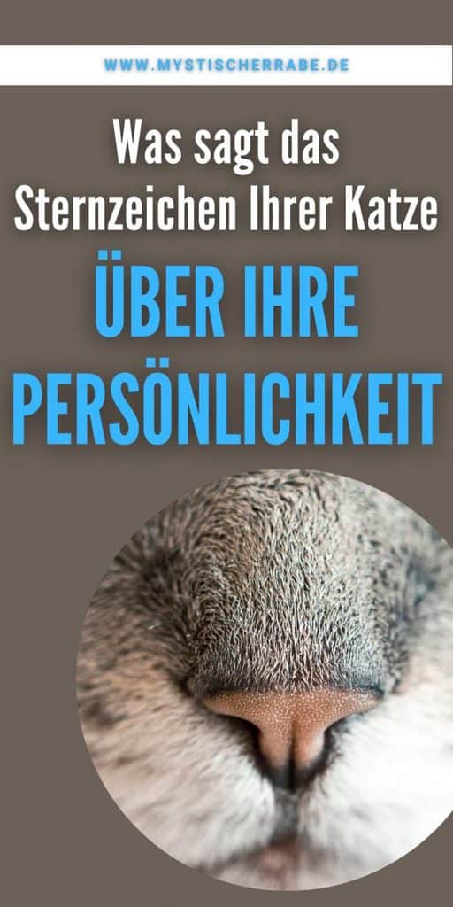 Was sagt das Sternzeichen Ihrer Katze über ihre Persönlichkeit