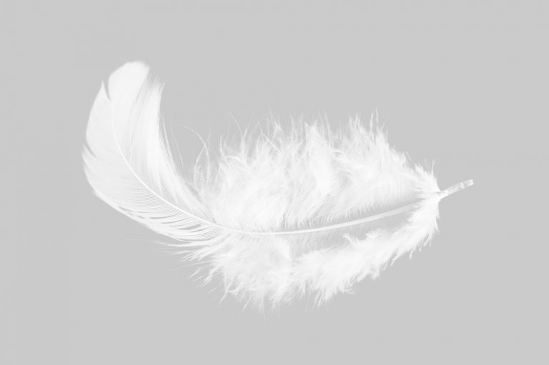 Bedeutung von Federn: Was eine Feder symbolisiert