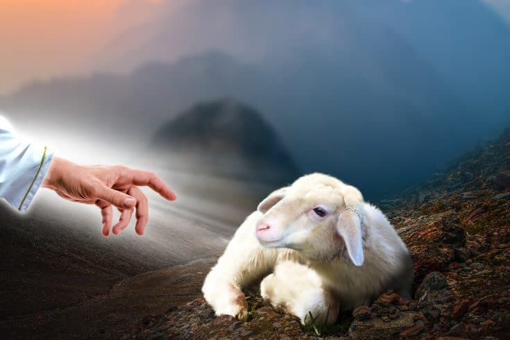 15 Herausragende christliche Symbole und ihre Bedeutung