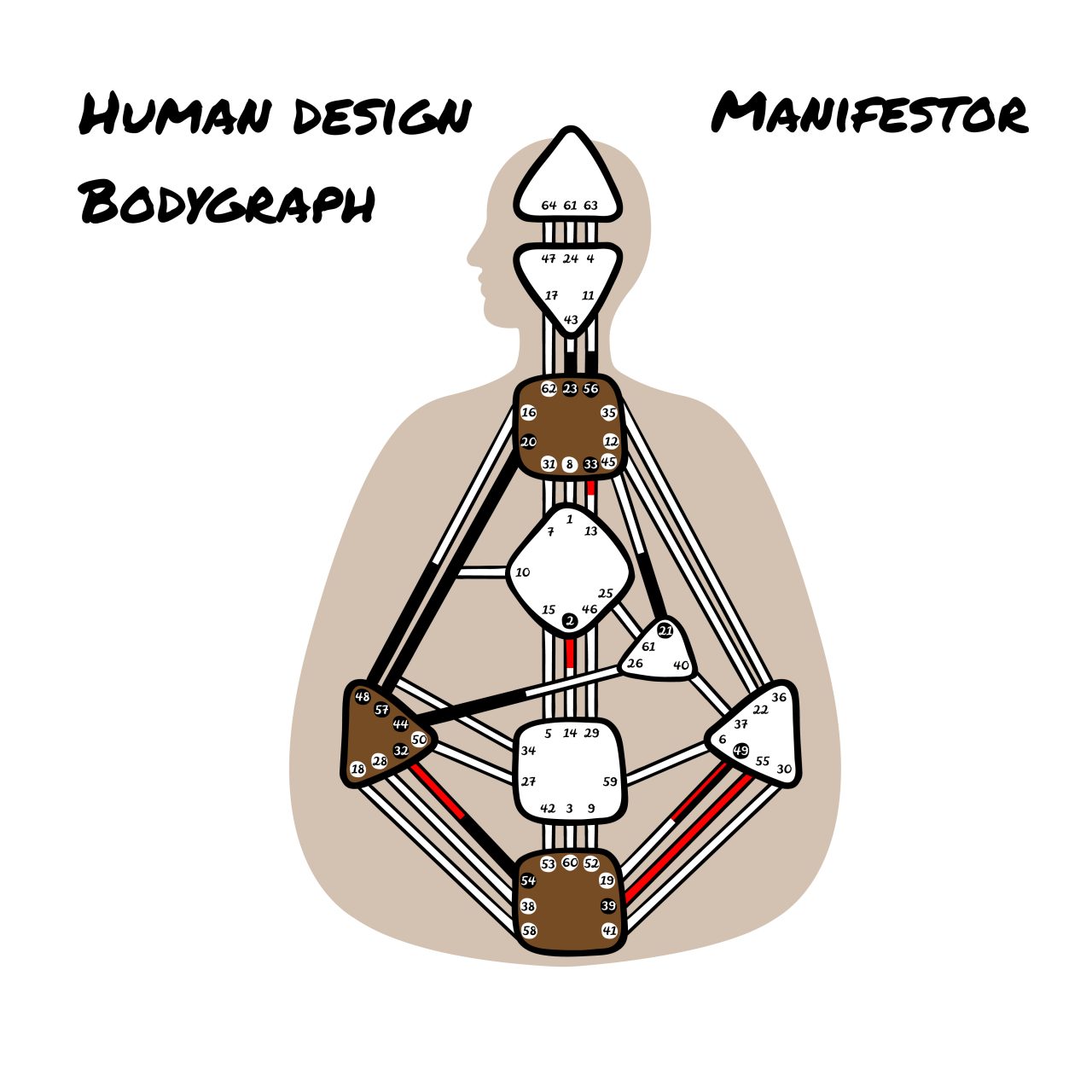 Human Design Typen: Was sind sie und welche gibt es?