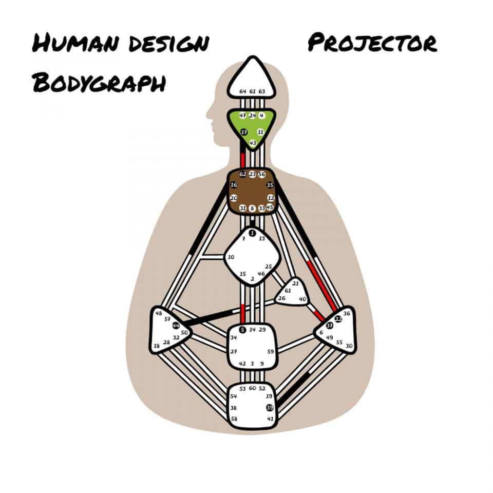 Human Design Typen: Was sind sie und welche gibt es?