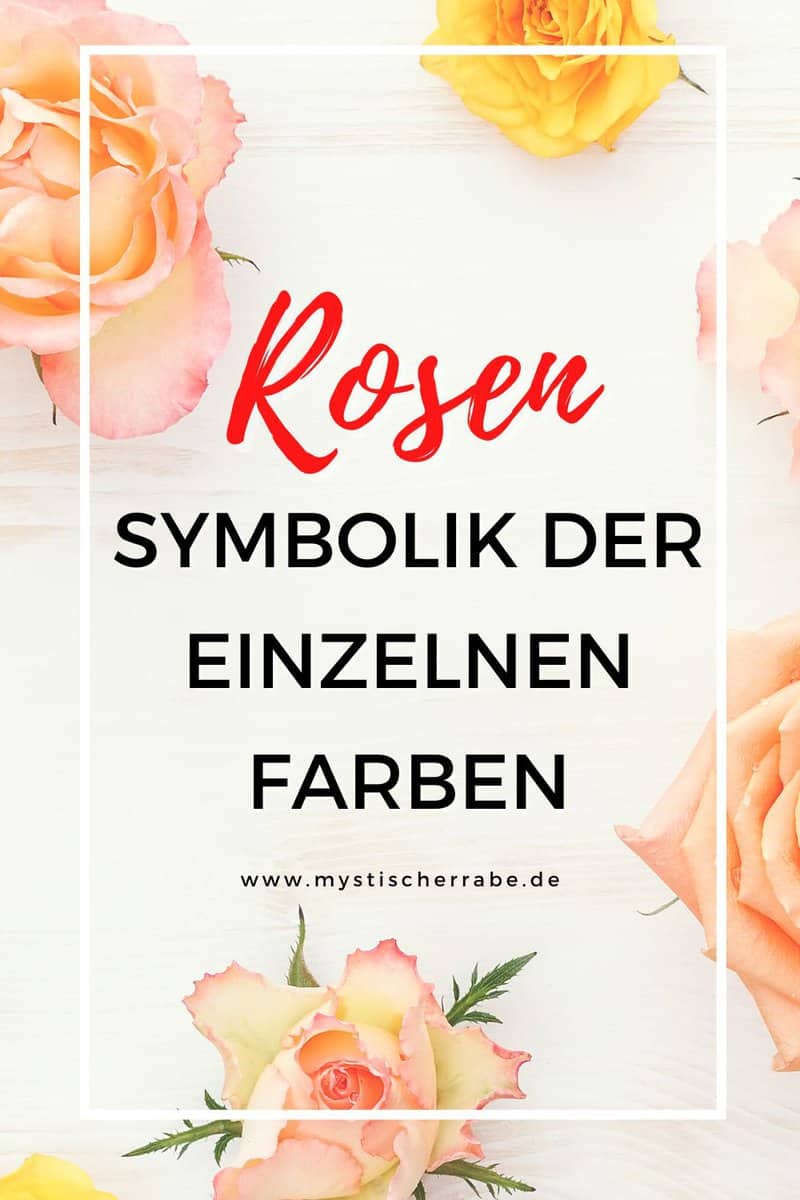 Rosen: Die magische Eigenschaft und Symbolik der einzelnen Farben