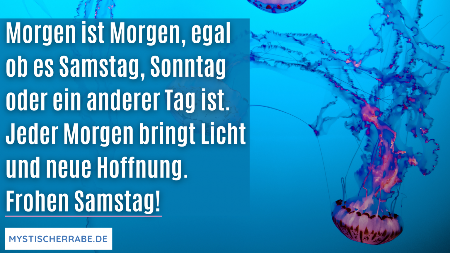 Guten Morgen Samstag, die 100 besten Zitate und Wüsche