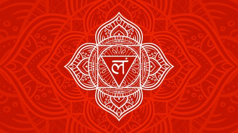 Wurzelchakra: Lerne dein wichtigstes Chakra kennen
