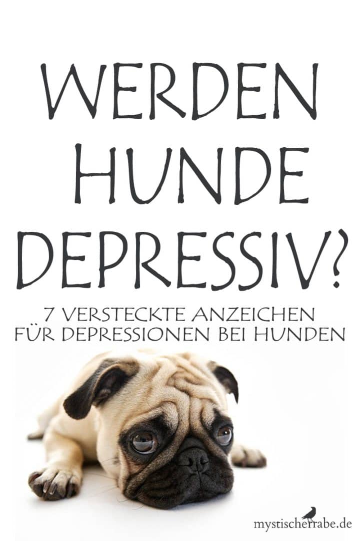 Hunde Bei Depressionen